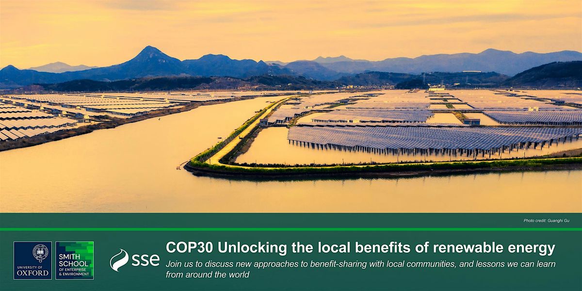 COP30 Unlocking the local benefits of renewable energy, WWF Pavilion, COP30 Blue Zone, Parque Da ...