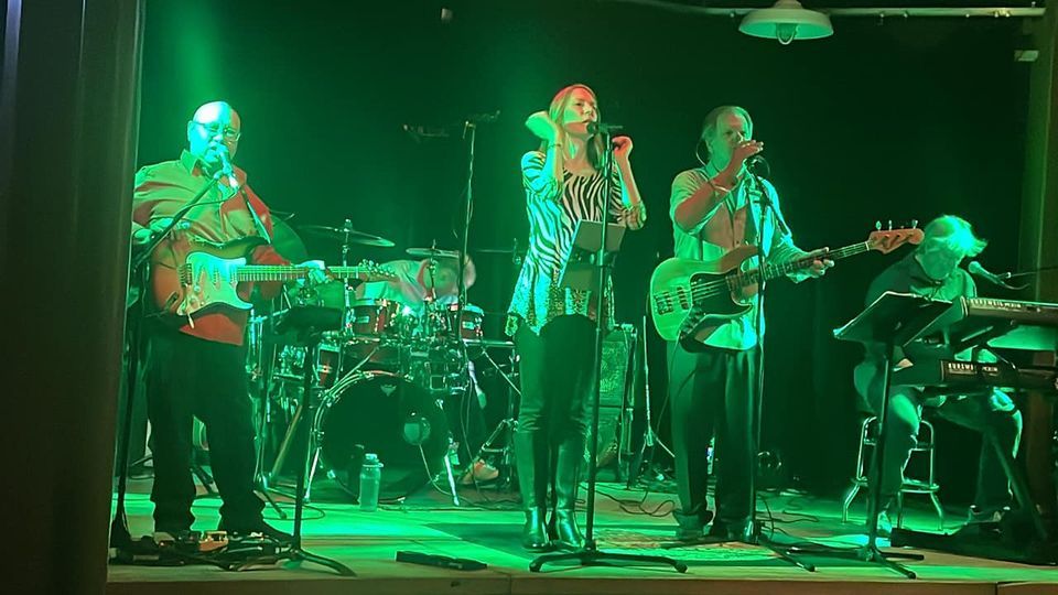 Sonic Freeway at Hamlin Pub (25 & Van Dyke), Hamlin Pub, Washington ...