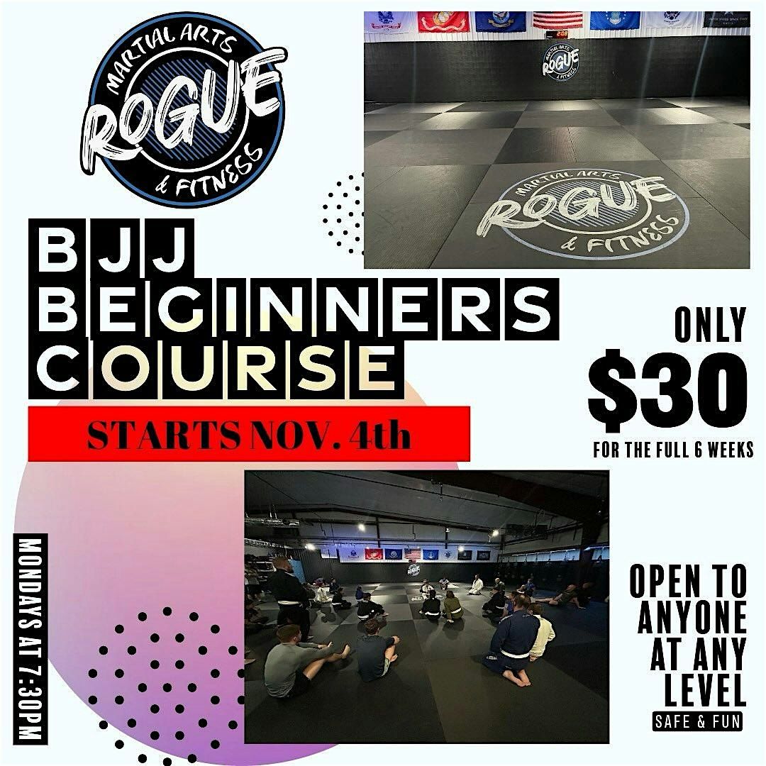 6 Week Beginners Program, Rogue Martial Arts and Fitness, Collinsville, 24 February to 31 March ...