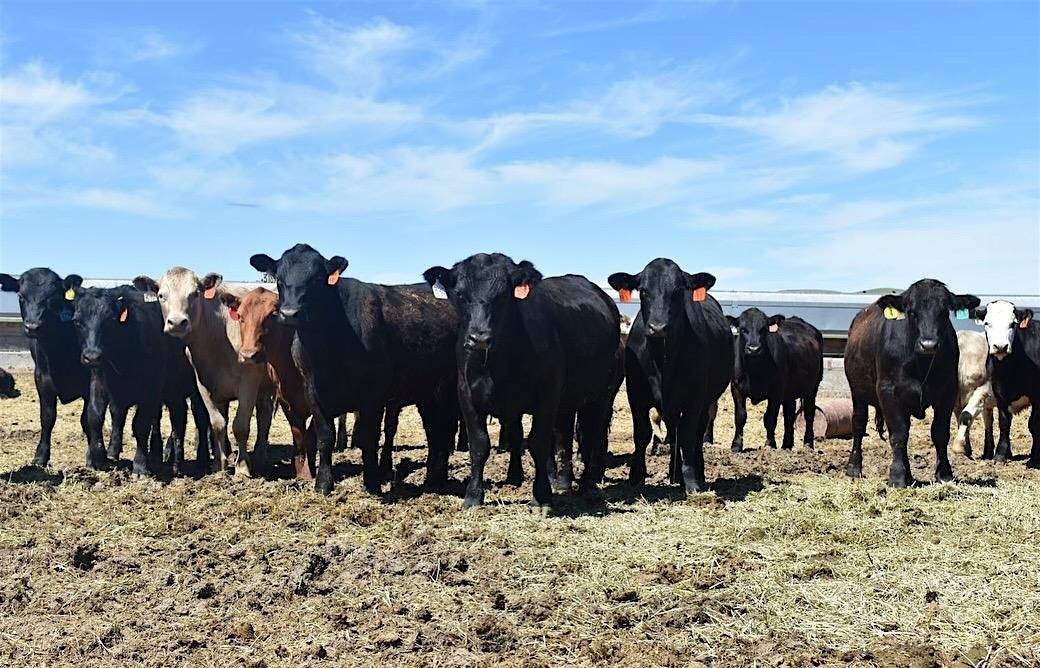 B Bar Ranch Tour: A Field Trip for Co-op Members!, B Bar Ranch ...