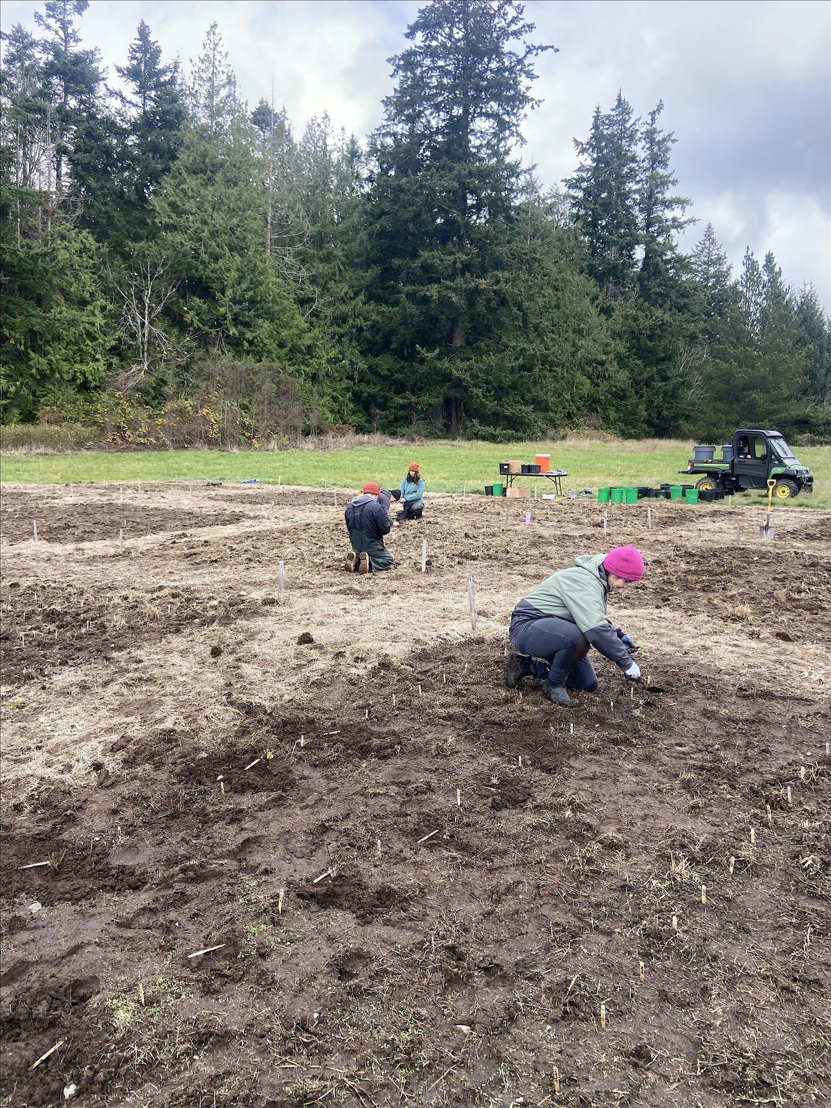 Primo Plantings & More for Potent Pollinators, Padilla Bay National ...