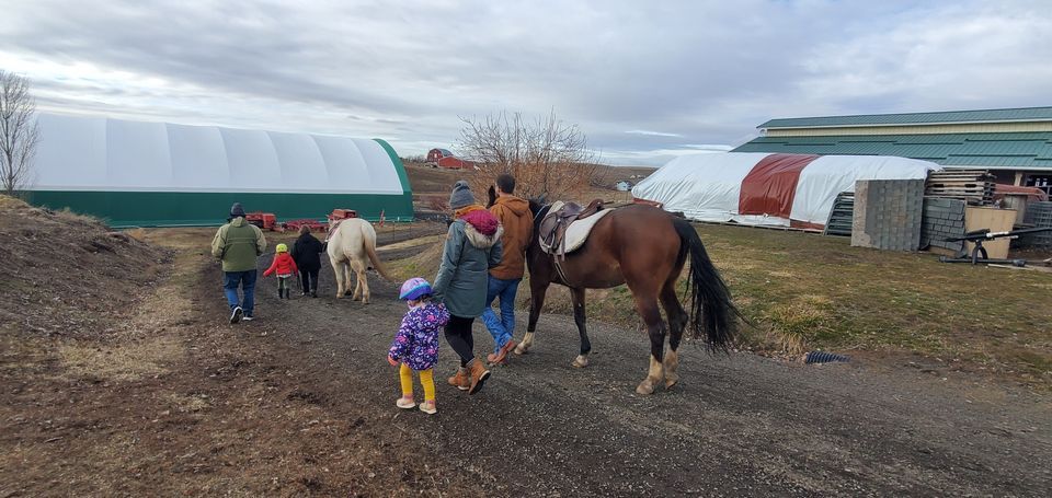 Pony Time, Serenity Ridge Farm Riding Academy, Pullman, 13 January 2024 ...