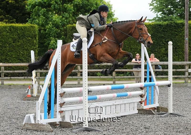 Jump Training with Susie P and Helen, BCA Equine Shows and Events ...
