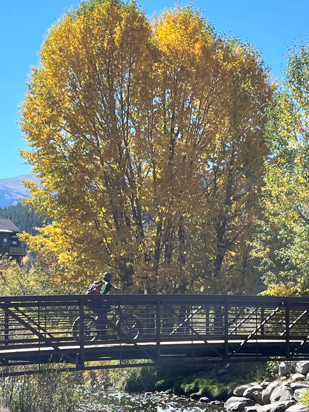 🚴🏻Bike Ride 🚴‍♂️ FRISCO to BRECKENRIDGE, Friday Oct 3, ~18 miles ...