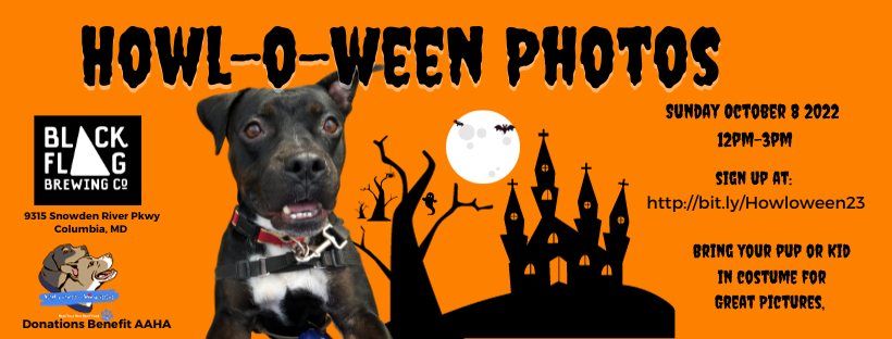 Howl-O-Ween Dog Photos , Black Flag Brewing Company, Jessup, 8 October