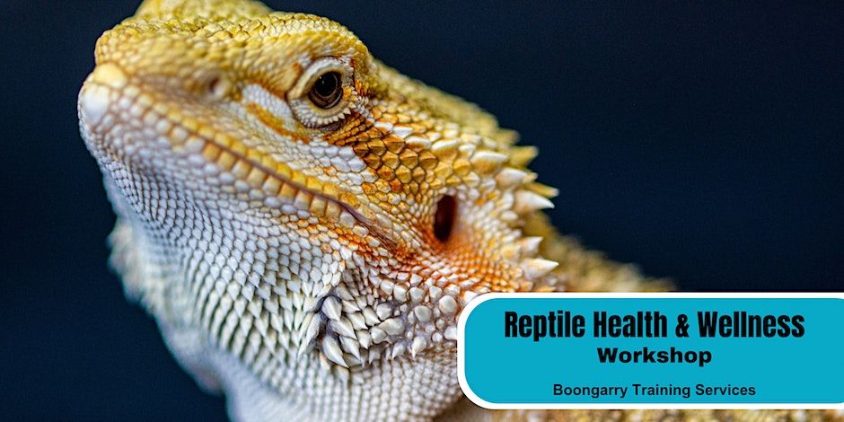 Reptile Health & Wellness, Stratford Community Hall (15 Kamerunga Road ...