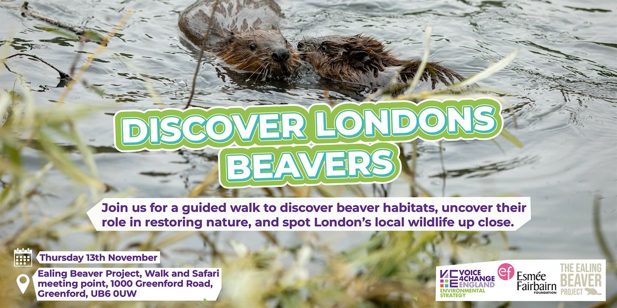 Ealing Beaver Project: Guided Site Tour & Talk, Westway Cross Shopping ...