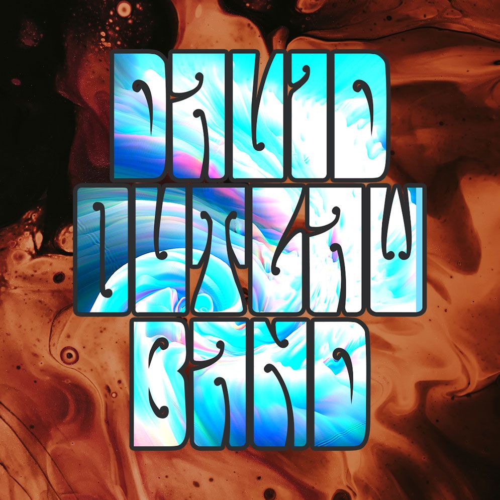David Outlaw Band Hopmonk Tavern Sebastopol