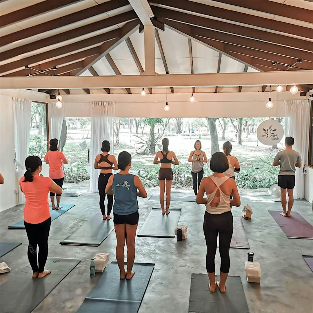 Yoga & Tea with Wendy: Is Teacher Training Right For You?, Yoga Seeds ...
