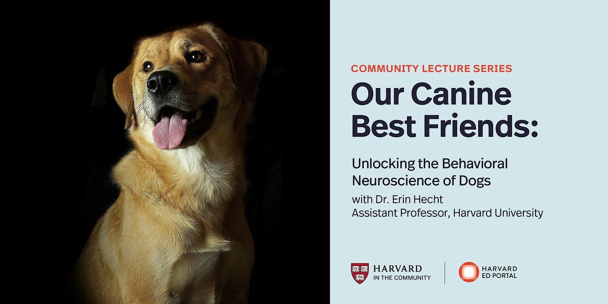 IN-PERSON: Harvard in the Community Lecture Series, Harvard Ed Portal ...