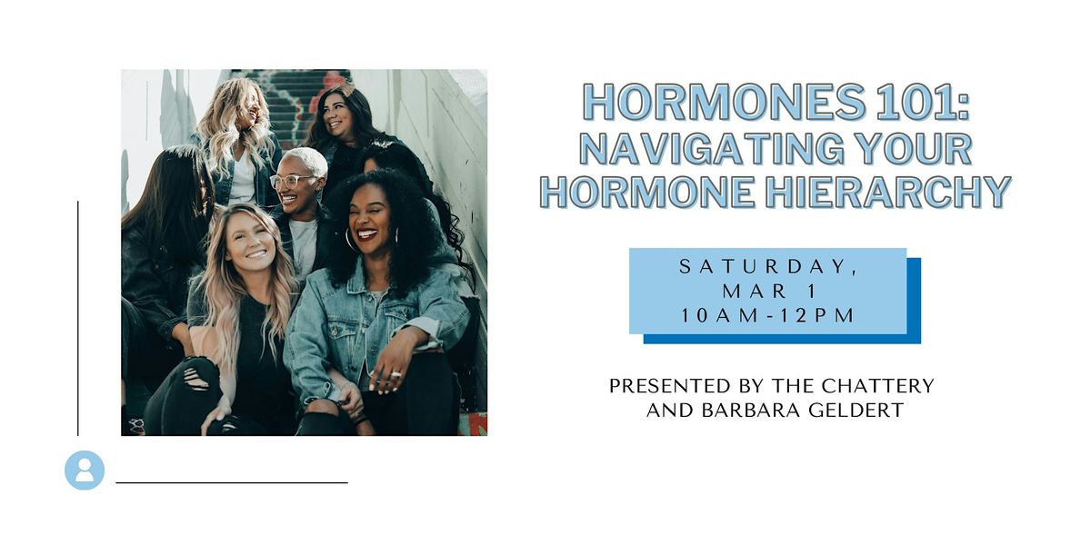 Hormones 101: Navigating your Hormone Hierarchy, The Chattery Downtown ...