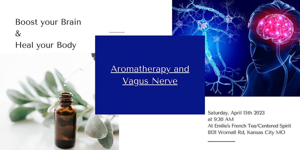 Aromatherapy and the Vagus Nerve - Boost your Brain & Heal your Body ...