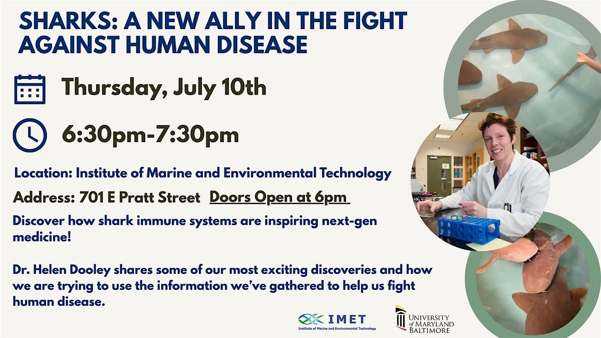 Sharks: A New Ally in The Fight Against Human Disease, Institute of ...