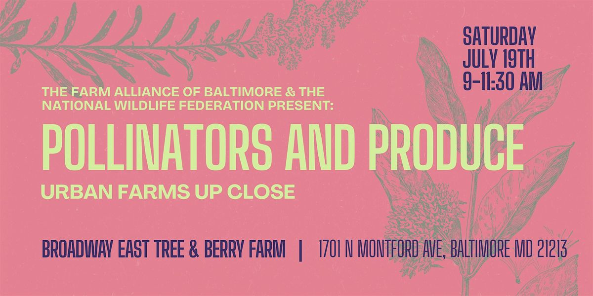 Urban Farms Up Close, Broadway East Tree & Berry Farm, Baltimore, 19 ...