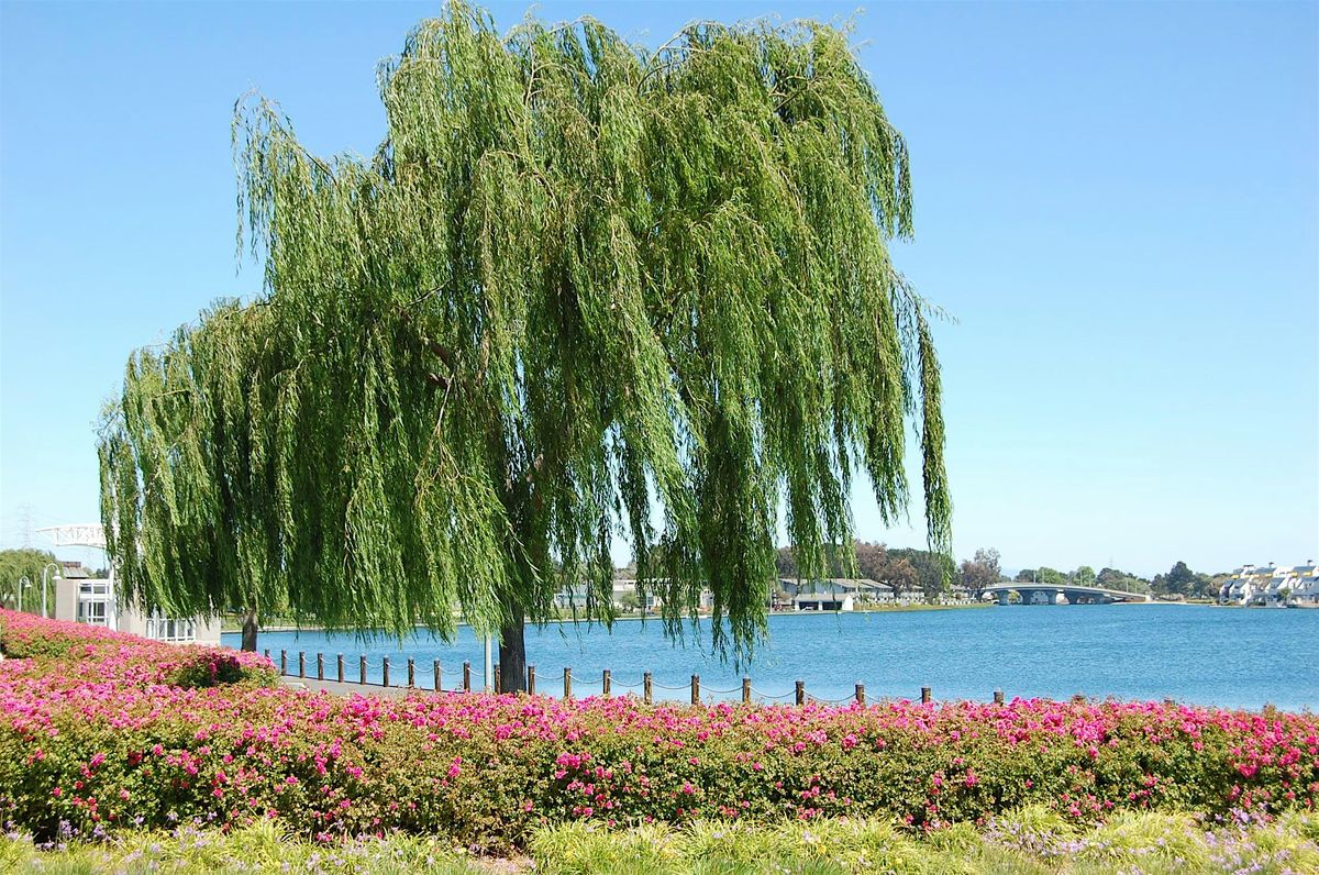 Foster City Parks Master Plan Community Workshop, The Vibe Teen Center ...