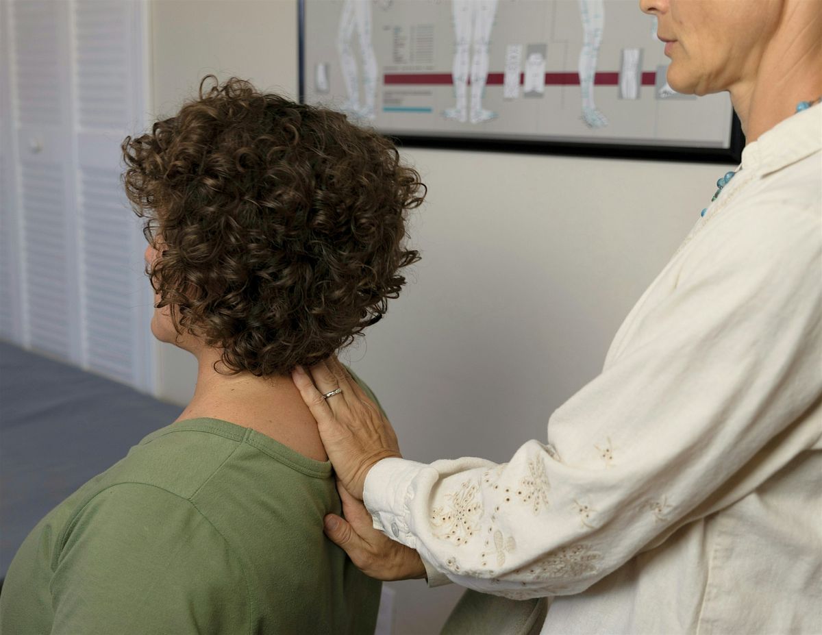 4-Day Pure Bioenergy Healer Training Intensive: Level 1 & 2, Hil & Vil ...