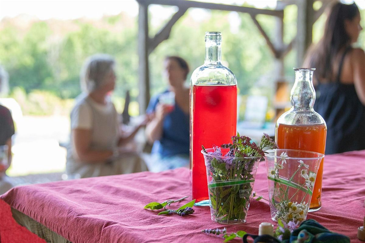 Savor the Summer: Herbal Syrups, Shrubs & Spritzers with Spoonful ...