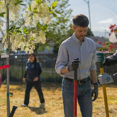 Community Planting with Our City Forest at Scott Lane Elementary School ...