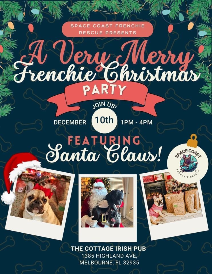 A Very Merry Frenchie Christmas Party , The Cottage Irish Pub ...