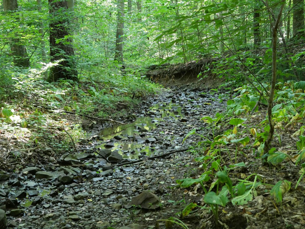 Exploration Hike: Highlands Region Preserves, Old Trolley Line Park ...