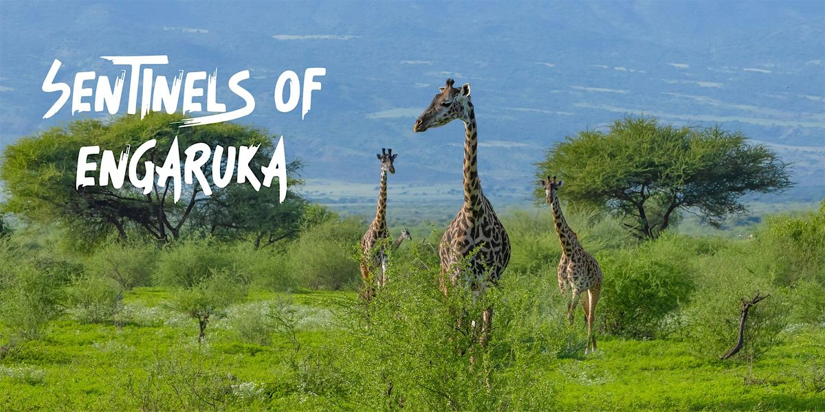Sentinels of Engaruka – Free Film Screening + Q&A, Bernardsville Cinema ...