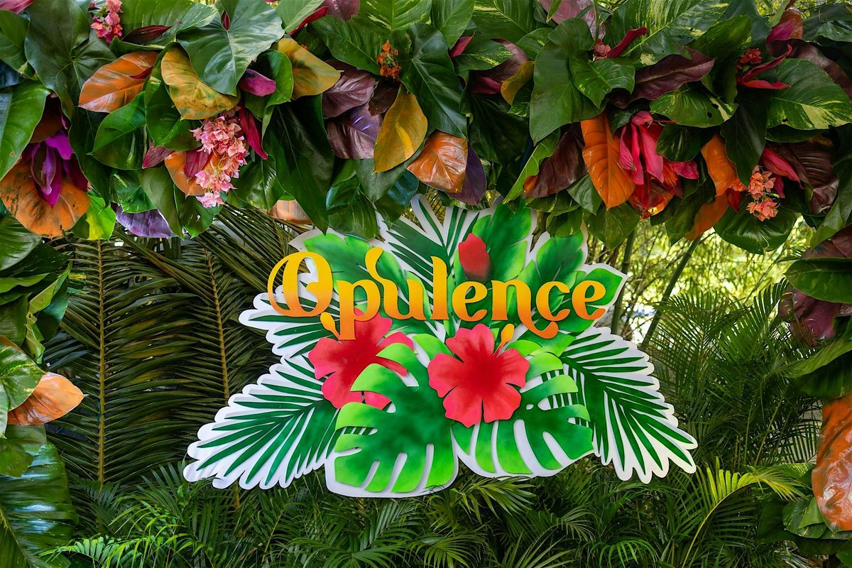 OPULENCE BRUNCH - Dominica, Layou, Dominica, 15 February 2026 | AllEvents