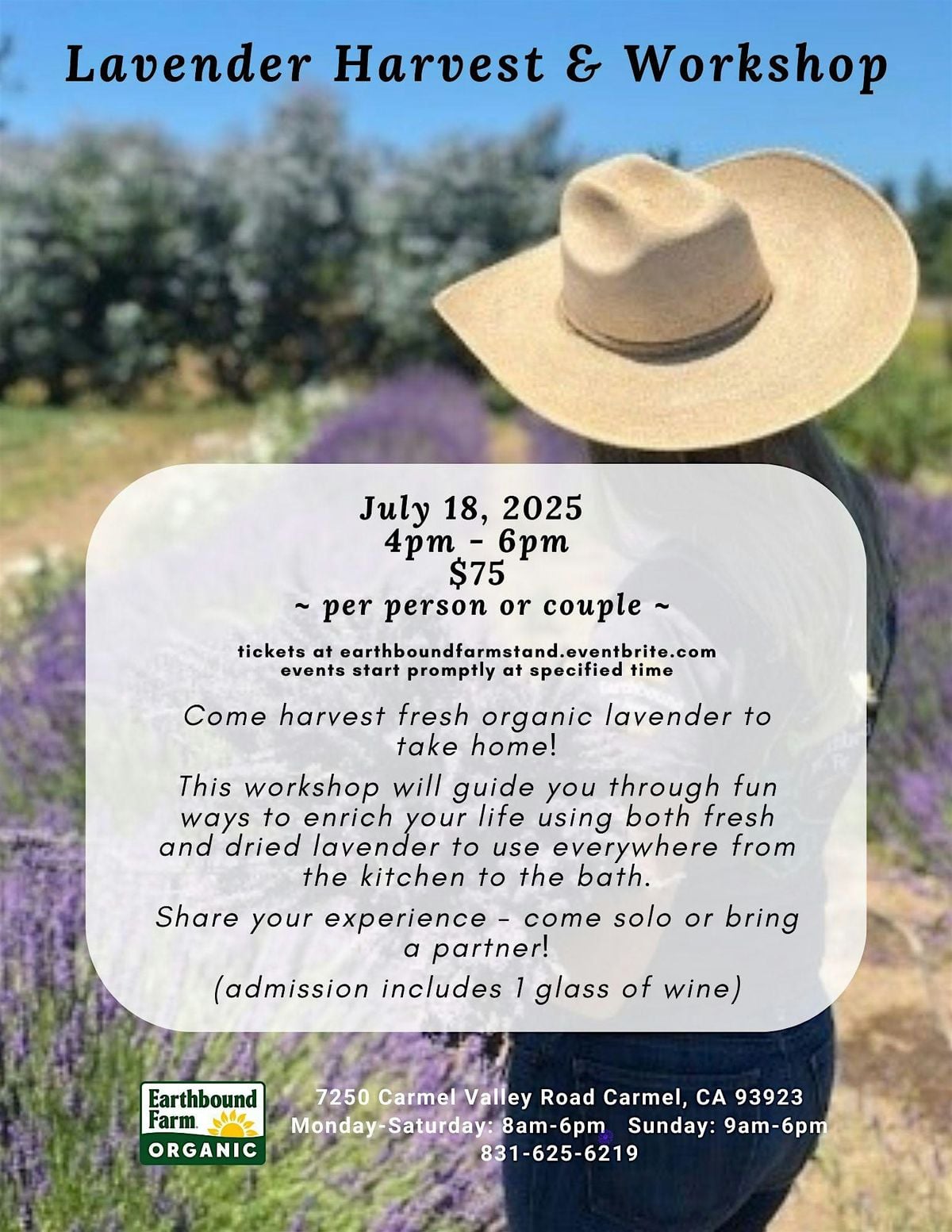 Lavender Harvest and Workshop at Earthbound Farm Stand, Earthbound Farm Stand, Carmel, 18 July ...
