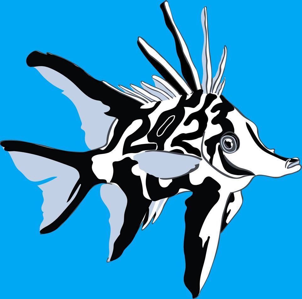 Great Victoria Fish Count 2023, St Leonards Pier, 8 December 2023 ...