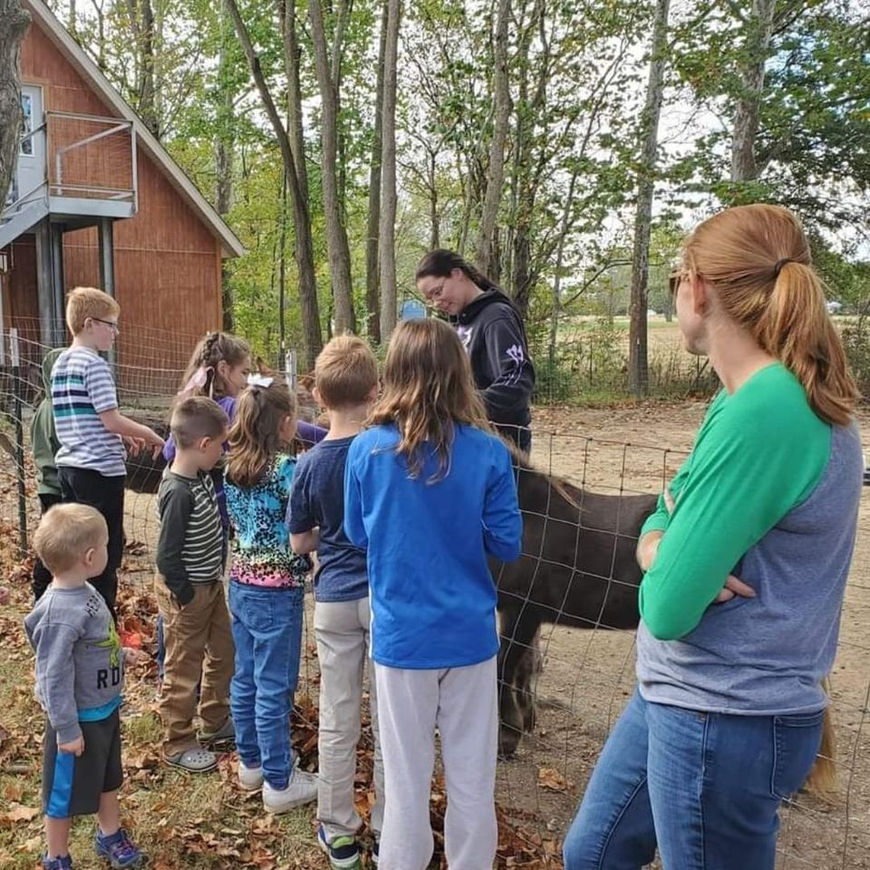 Indigo Fun Day!, 8857 Edison Street, Louisville, OH, Limaville, January ...