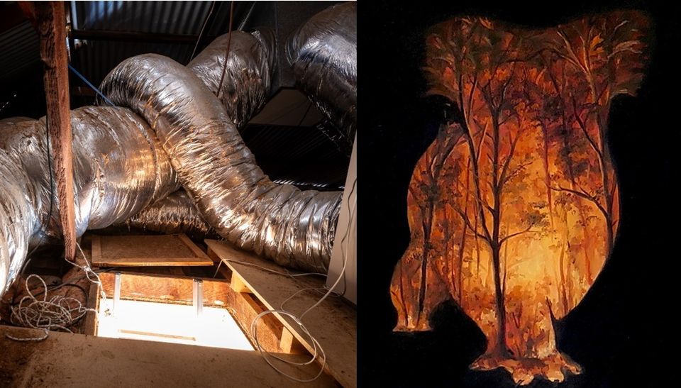 SOLITUDE by Emily Williams and Thomas Gloyn + FRAGILE by Julianne ...