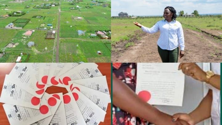 Mwalimu Farm Site Visit , Kamaki's on the Eastern Bypass, Ruiru, Nyeri ...
