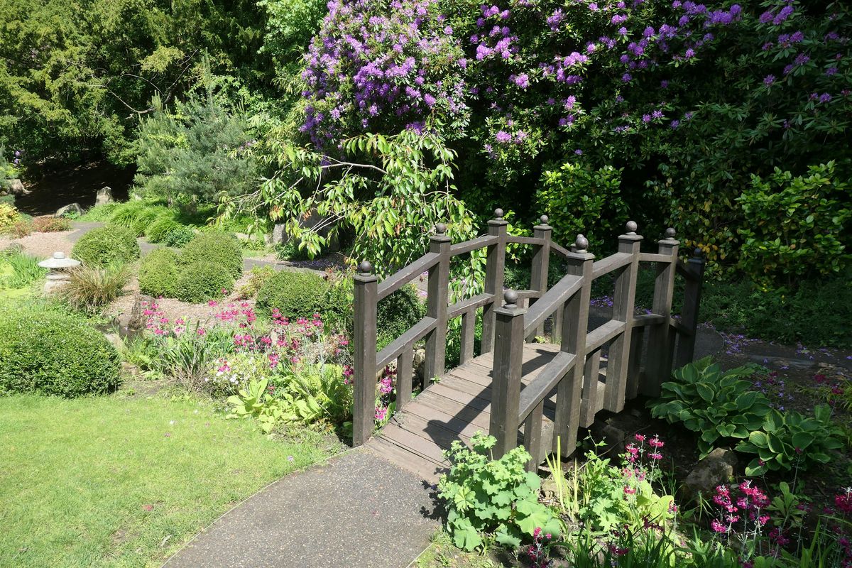 Valley Gardens Guided Walk, Valley Gardens Harrogate, 14 September to ...
