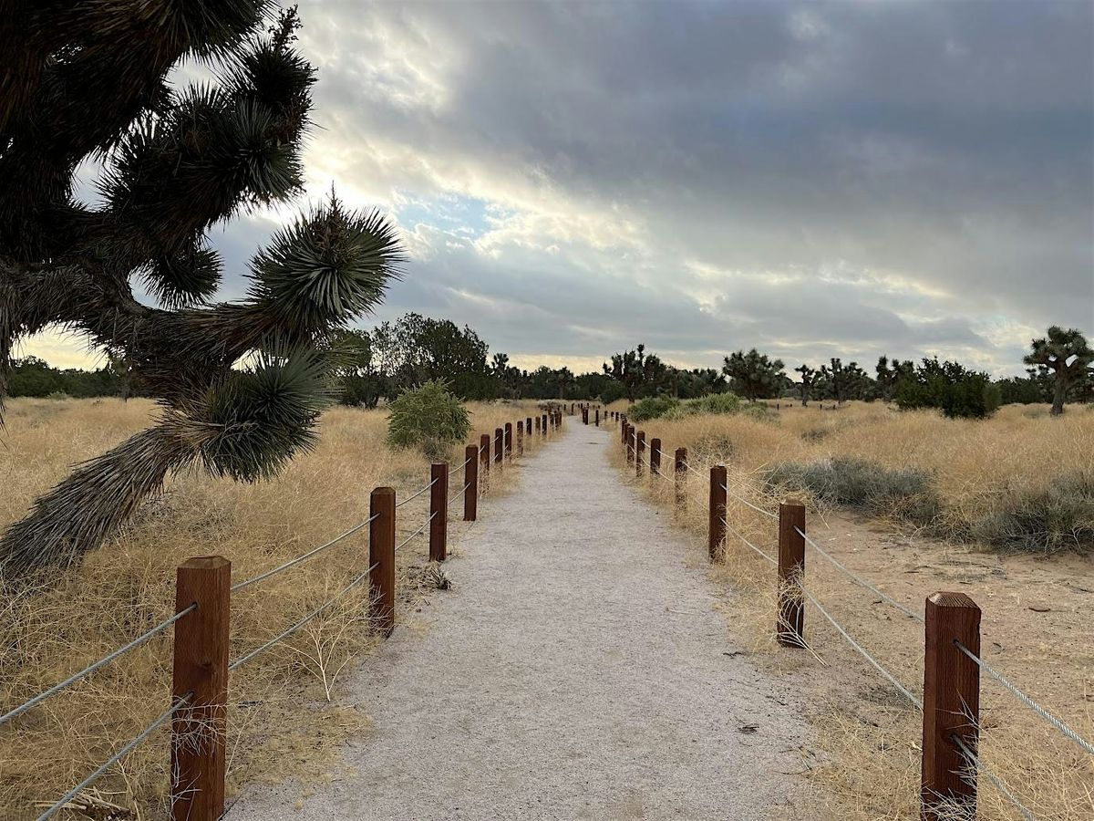 Nature Journaling with AVAS, Prime Desert Woodland Preserve, Lancaster ...