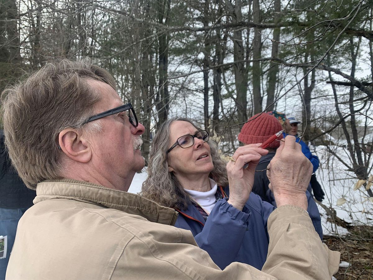 Identifying Trees of Maine, Androscoggin Valley Soil and Water ...