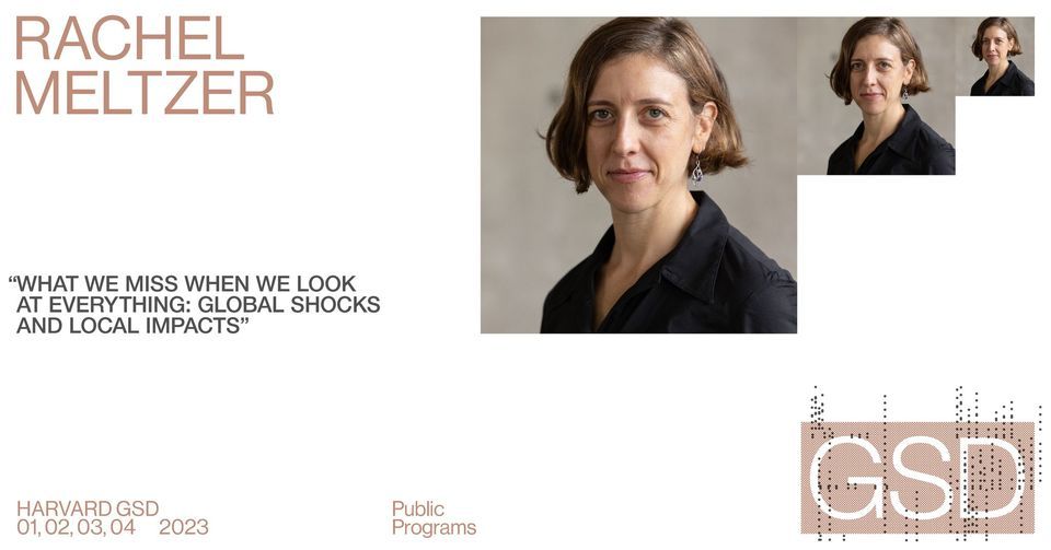 Rachel Meltzer, “What We Miss When We Look at Everything: Global Shocks ...