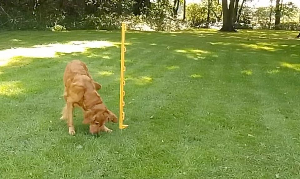 TRAIN THE TRAINERS, South Hykeham Village Hall, Lincoln, April 13 2024 ...