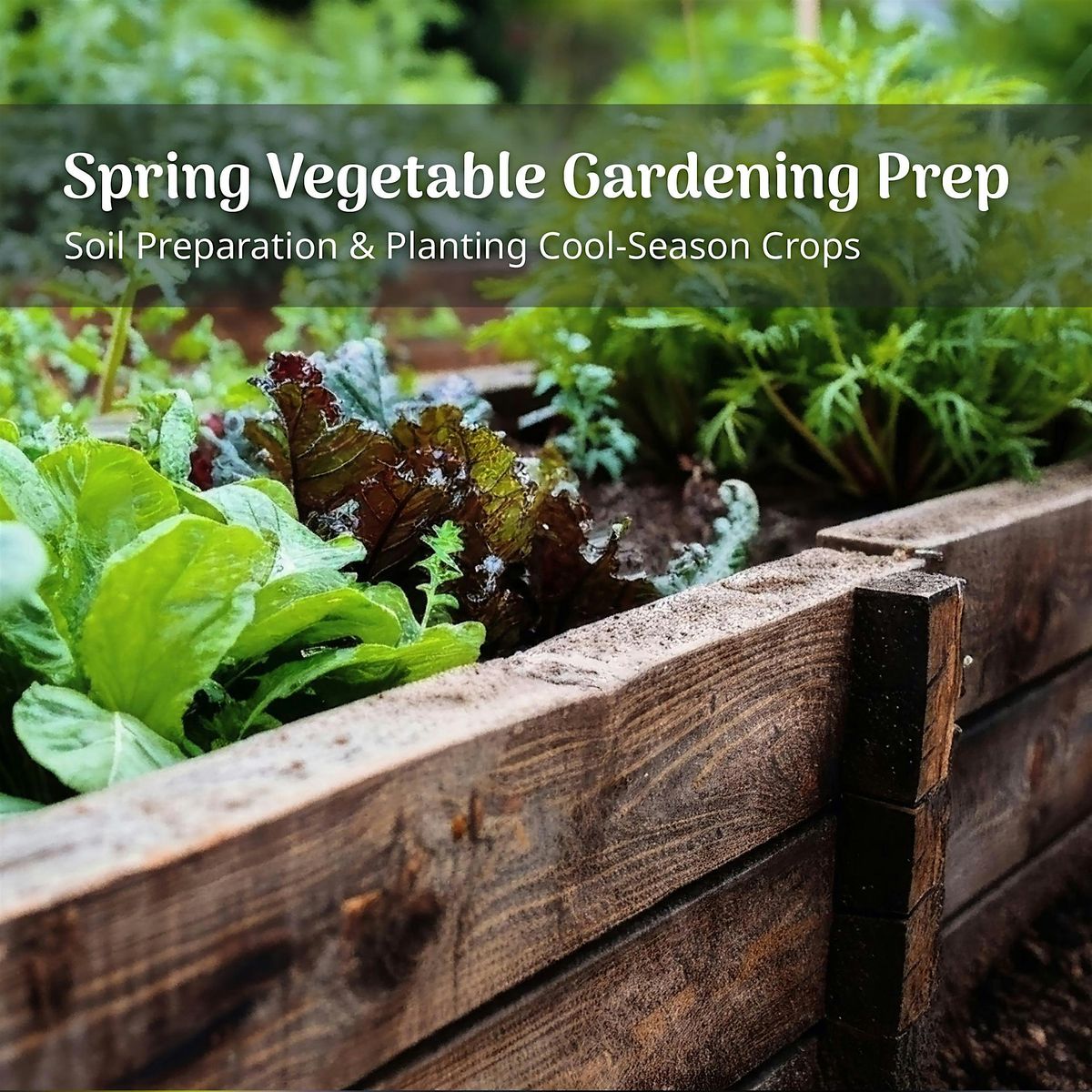 Spring Vegetable Gardening: Soil Preparation & Planting Cool-Season Crops, SummerWinds Nursery ...