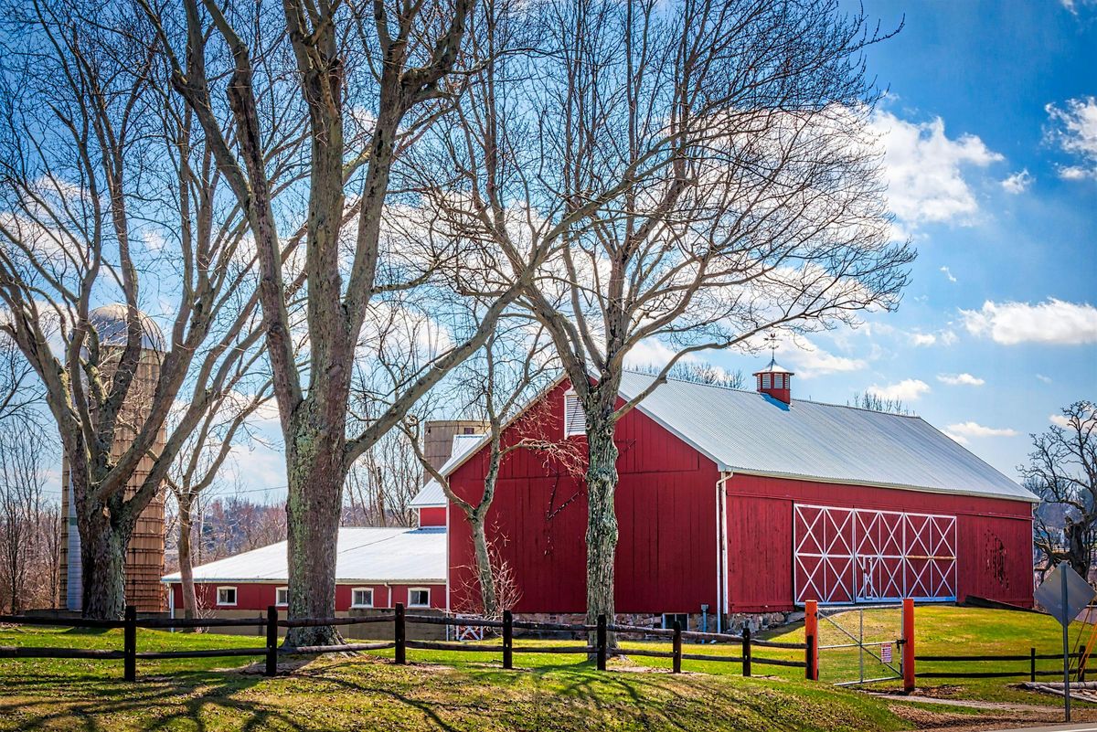 Adventurous Scavenger Hunt! - Jacktown Jamboree Scavenger Hunt, 257 ...