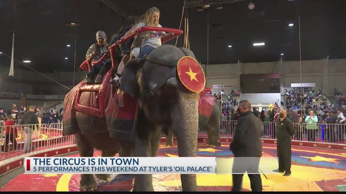 Carden International Circus Spectacular, Bismarck Event Center ...