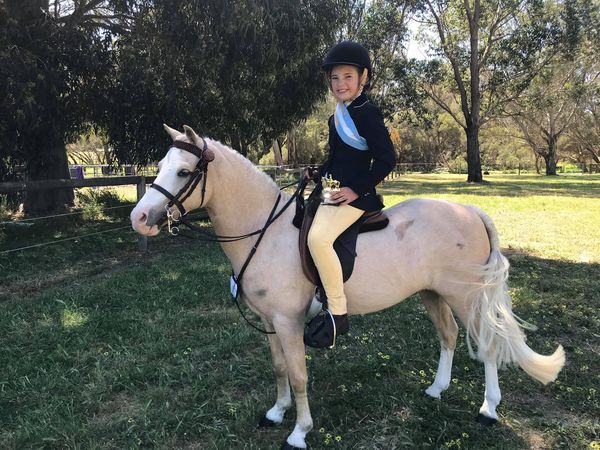 Swan View & Districts Agricultural & Arts Society Inc, The Perth Horse ...