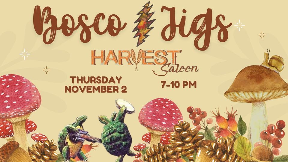 Bosco Jigs at Harvest Saloon, Harvest Saloon Strongsville, 2 November ...