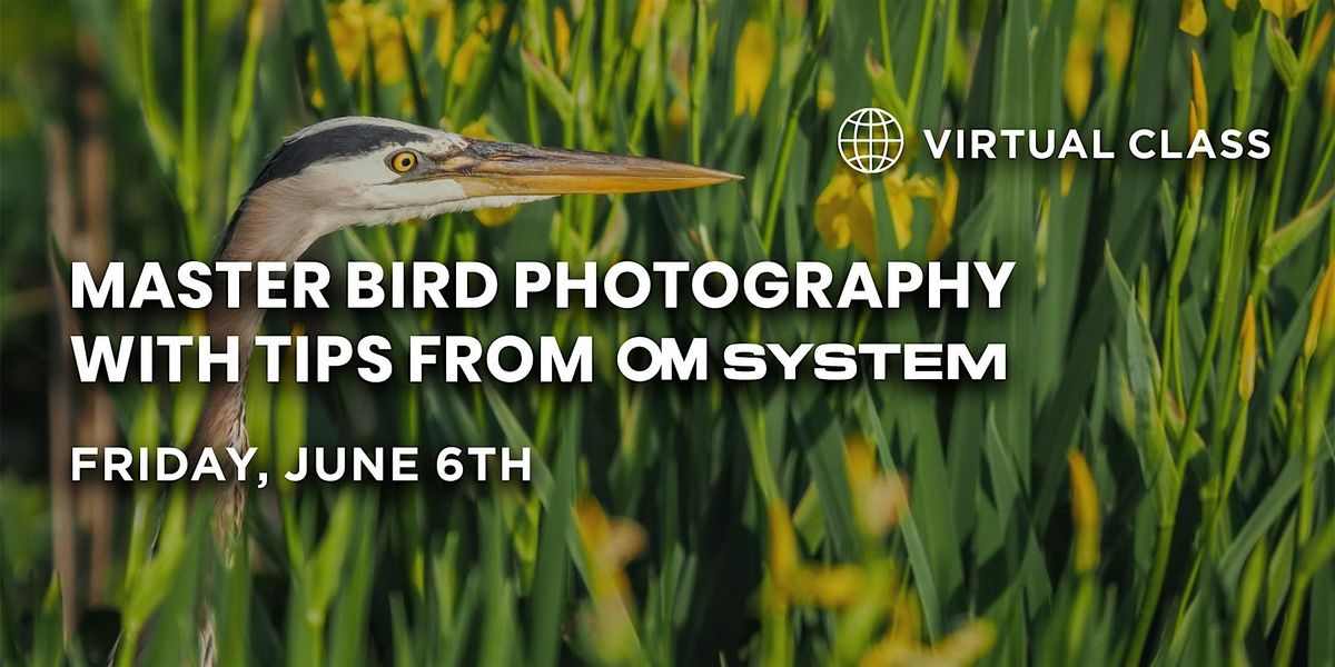 Master Bird Photography with Tips from OM System | Virtual Class, 6 ...