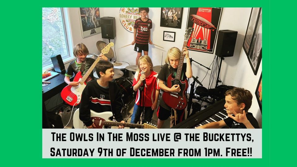 The Owls In The Moss, Bucketty's Brewing Co., North Sydney, 9 December ...
