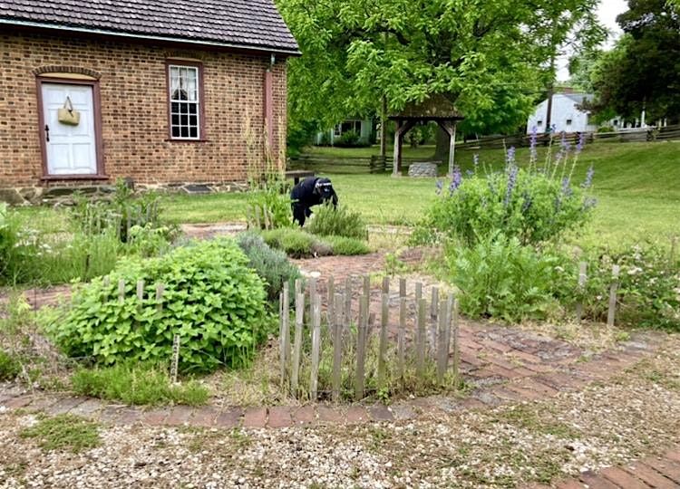 Gardens and Flowers in the Historical Park, High Point Museum, 24 May ...