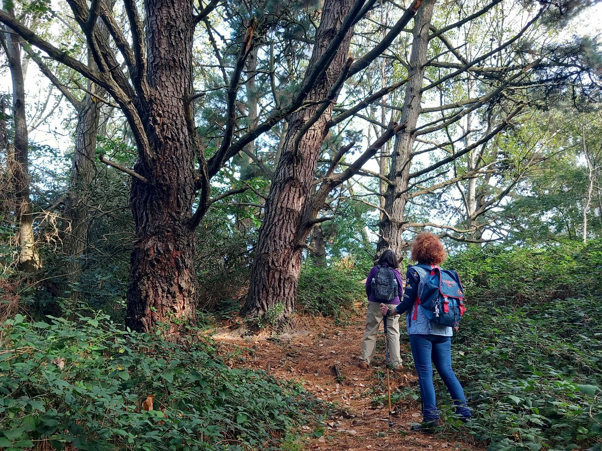 New Years Nature Walk at Muscliff Park, Muscliff Park, Bournemouth, 9 ...