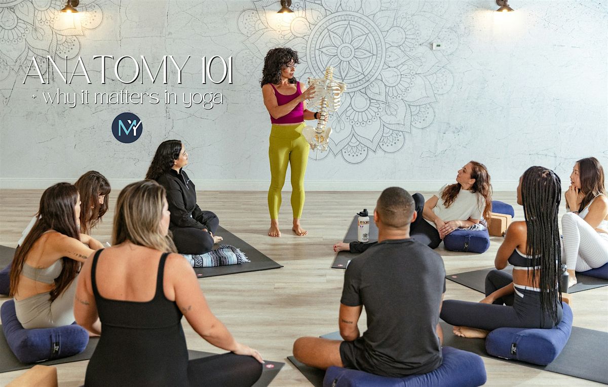 Anatomy 101 + Why It Matters In Yoga, MISSION YOGA, Oakland Park, 28 ...