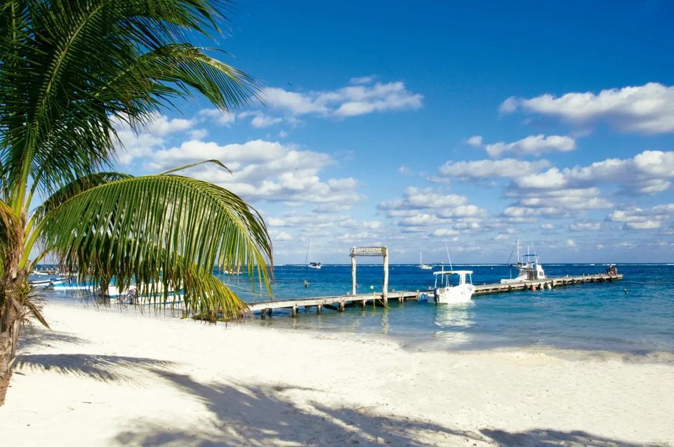 Experience the Joy of Being...Mexico 2024, Casa Om, Cozumel, February 3 ...