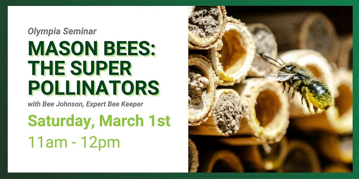 Mason Bees: The Super Pollinator, Olympia Seminar, 4004 Harrison Ave NW ...