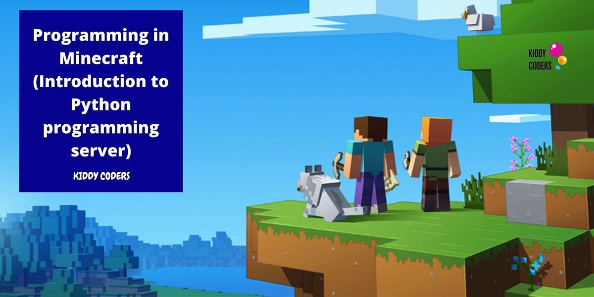 Programming In Minecraft Introduction To Python Programming Server