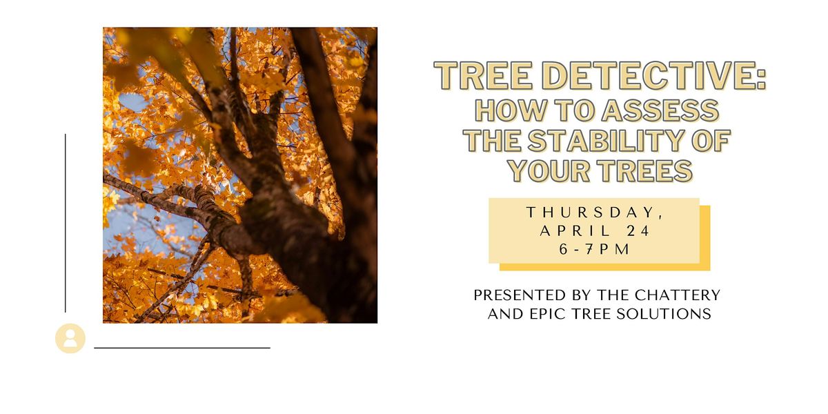 Tree Detective: How to Assess the Stability of Your Trees, The Chattery ...